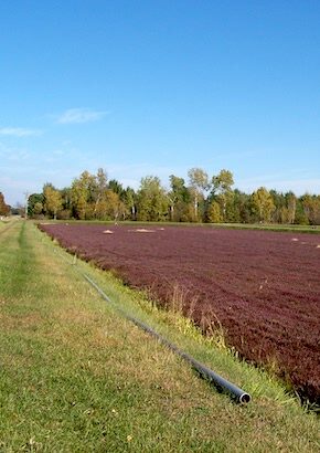 Mississippi River Regional Planning Commission (MRRPC)